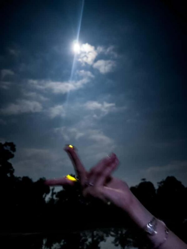 Bali Traditional Village Cooking & Magical Fireflies Tour - FAQ