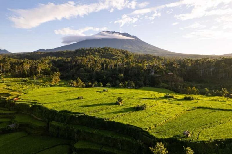 Bali: Traditional Villages, Salt Farm & Tirta Gangga Tour - Who Will Appreciate This Tour?