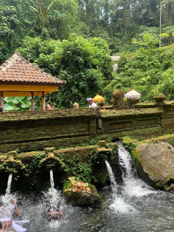 Bali: Traditional Water Blessing & Storytelling - Key Points