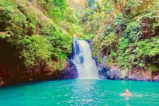 Bali Trekking Tour Into The Secret Garden Of Sambangan - Transportation & Practicalities