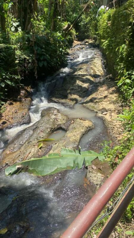 Bali Trilogy: Subak Irrigation, Waterfall & Ancient temple - Sacred Water Temples: Spiritual Gentlemen of Bali