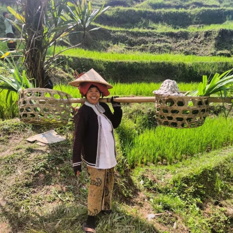Bali Trilogy: Subak Irrigation, Waterfall & Ancient temple - Authenticity and Insights