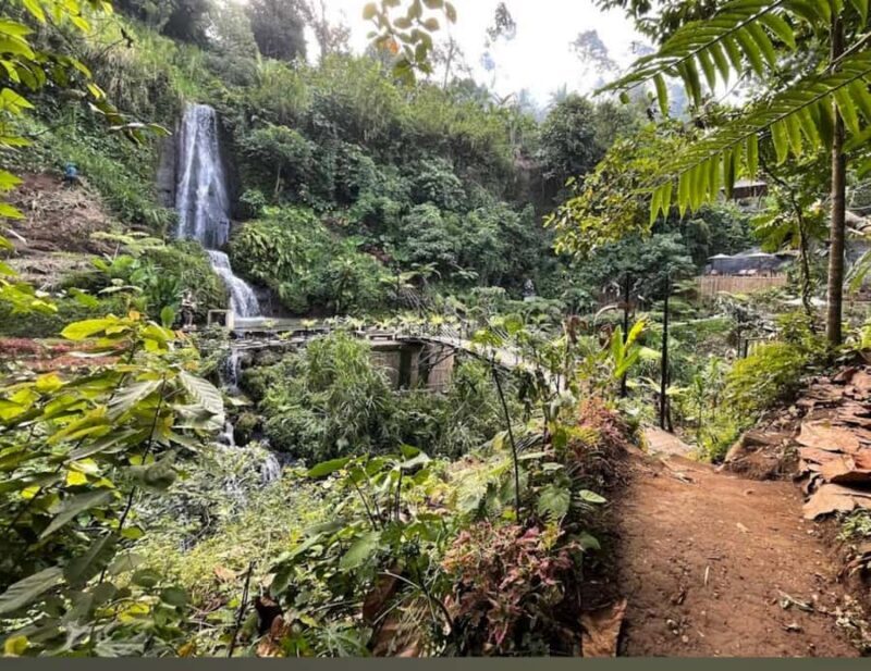 Bali Trilogy: Subak Irrigation, Waterfall & Ancient temple - Who Would Love This Tour?