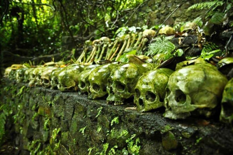 Bali: Trunyan Cemetery, Hot Springs, and Penglipuran Village - Key Points