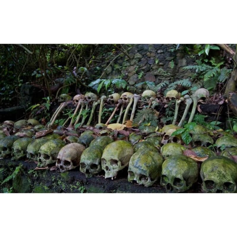 Bali: Trunyan Village & Lake Batur Sunset Boat Tour - Authenticity and Reviews: What Travelers Say