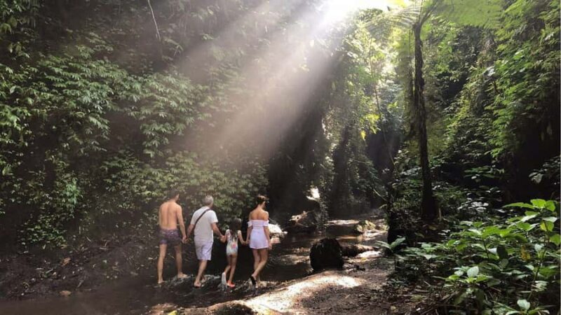 Bali: Tukad Cepung Waterfall, Besakih Temple & Tirta Gangga - Exploring the Tour Itinerary