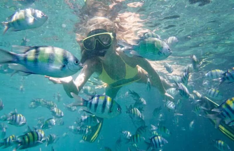 Bali Tulamben: Liberty Shipwreck Snorkeling & Kayak Day Trip - What to Expect from the Tour