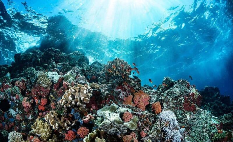 Bali Tulamben: Liberty Shipwreck Snorkeling & Kayak Day Trip - Authenticity and Practicality: What Travelers Say