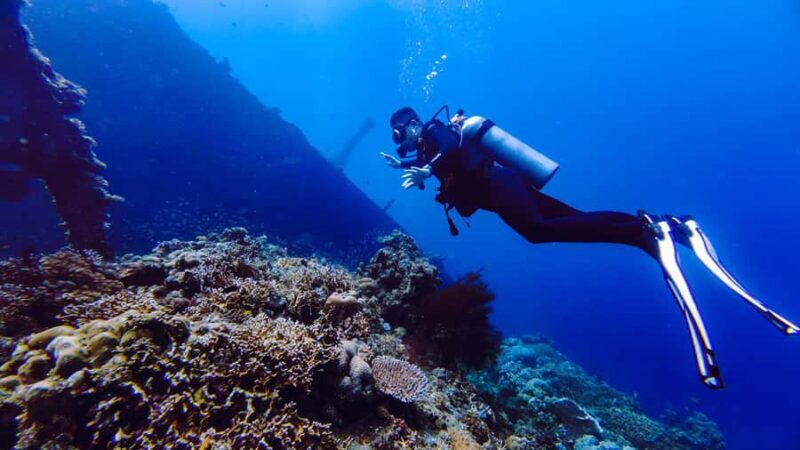 Bali: Tulamben Liberty Wreck Dive & Amed Kayak Trip - Practical Details and Logistics