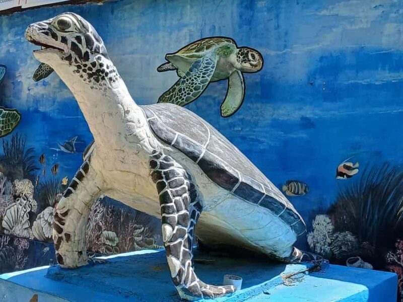 Bali: Turtle Conservation and Education Tour & Local Market - An In-Depth Look at the Tour