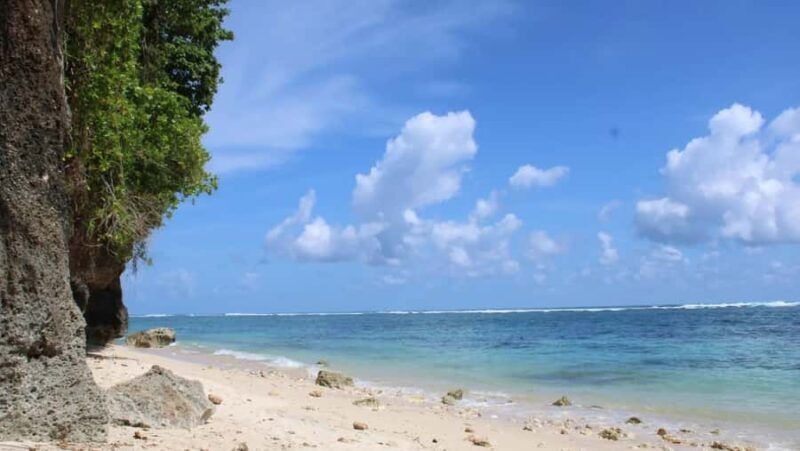 Bali: Turtle Conservation, GWK, Melasti Beach & Uluwatu - Key Points