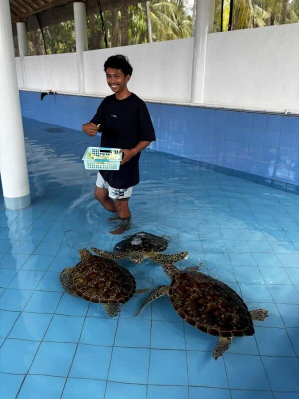 Bali: Turtle Conservation Visit & Island Land Tour - Final Verdict