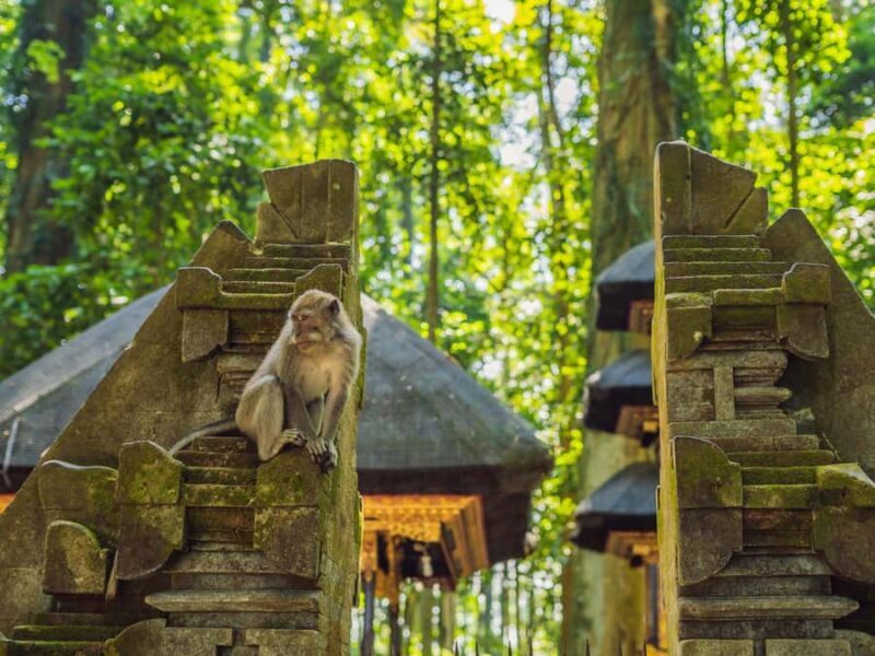 Bali: Ubud Adventure, ATV, Monkey Forest& Waterfall Tour - Authenticity and Value