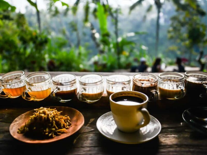 Bali: Ubud Adventure, ATV, Monkey Forest& Waterfall Tour - FAQ