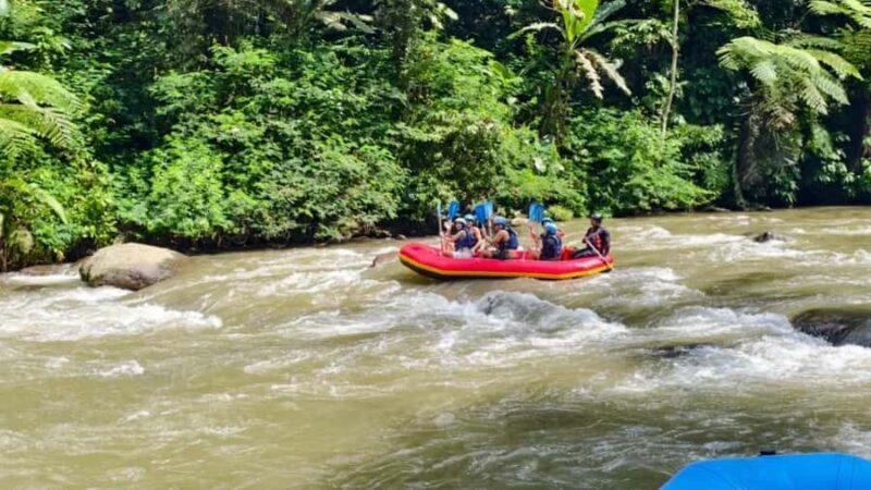 Bali Ubud Adventure: ATV Ride, Rafting & Alas Swing Day Tour - Exploring the Itinerary: What Makes Each Part Special