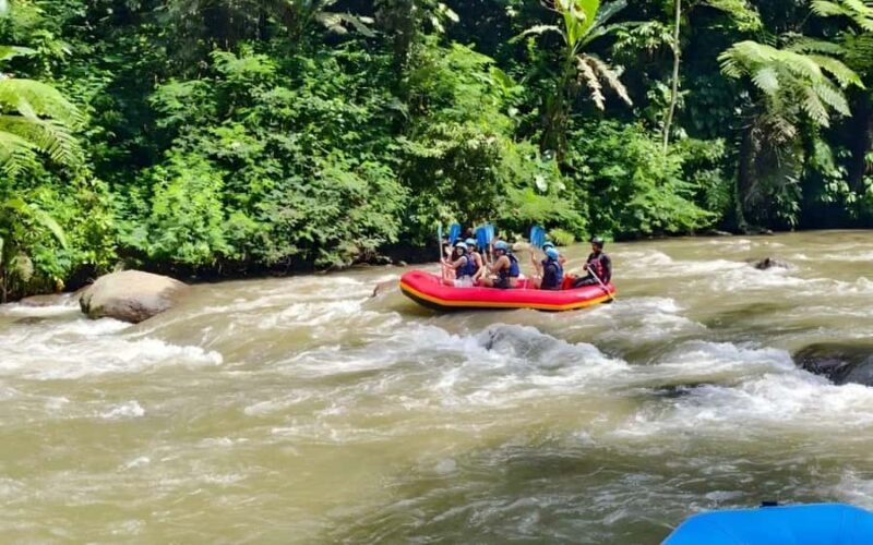Bali Ubud Adventure: ATV Ride, Rafting & Alas Swing Day Tour - What the Reviews Say