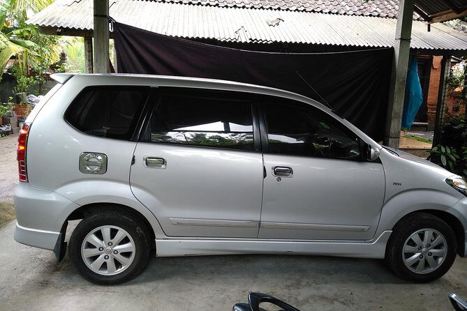 Bali Ubud Airport Pick Up and Drop to Hotel - Meeting Points and Timing