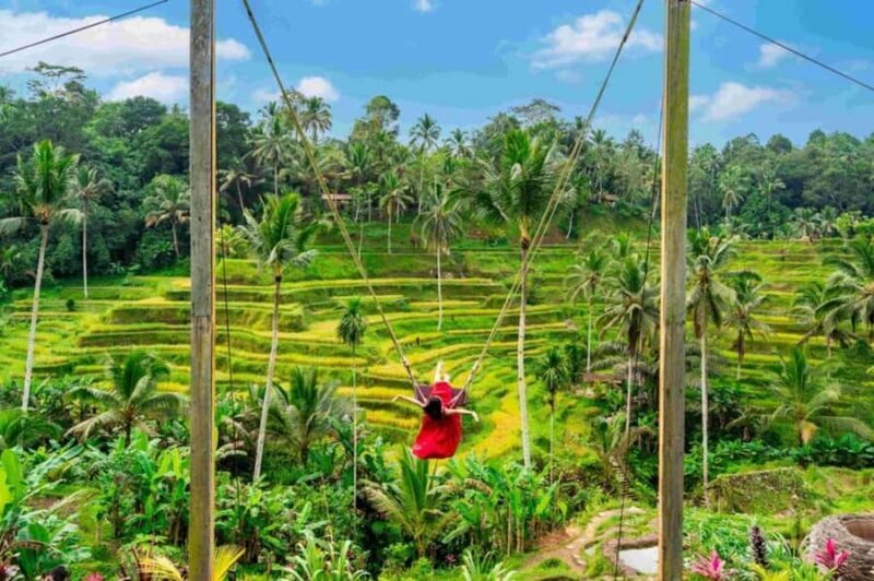 Bali: Ubud Amazing Volcano Tour with Tirta Empul Temple - Introduction: Why Consider This Tour?