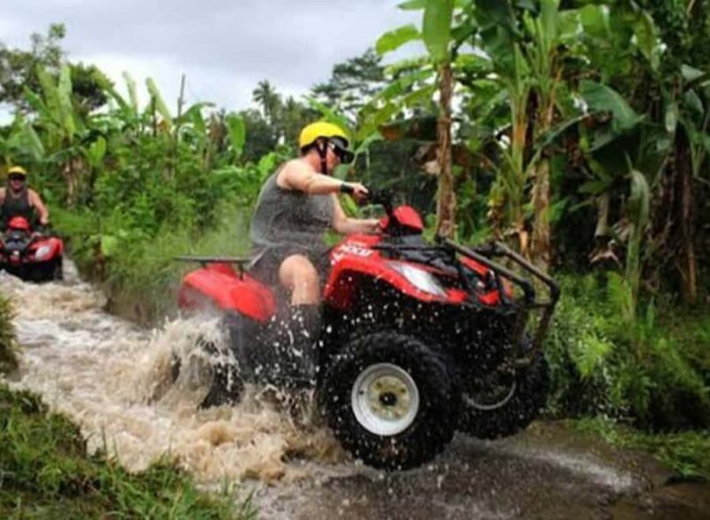 Bali: Ubud ATV and Blue Lagoon Snorkeling Tour with Lunch - Details that Matter for the Traveler