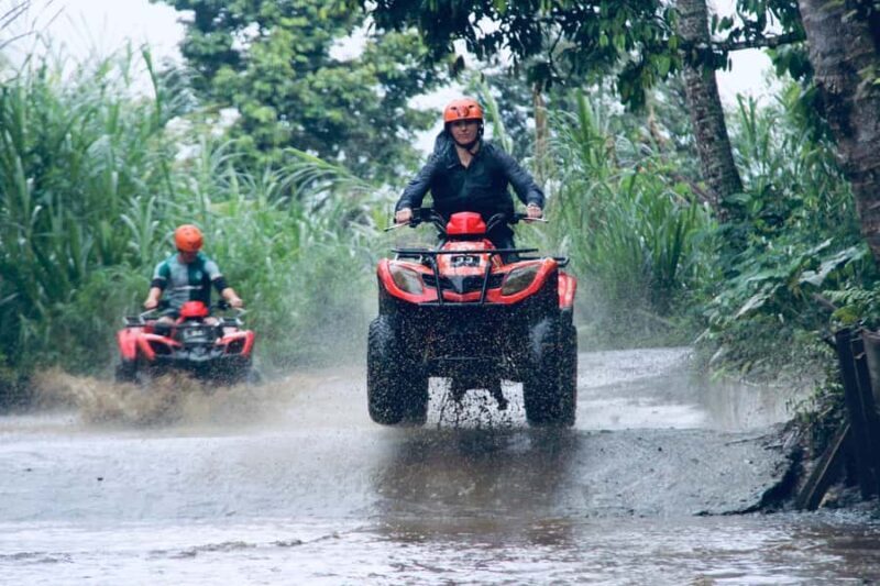 Bali: Ubud ATV Quad Bike, Jungle Swing & Rice Terrace Tour - Who Will Love This Tour?