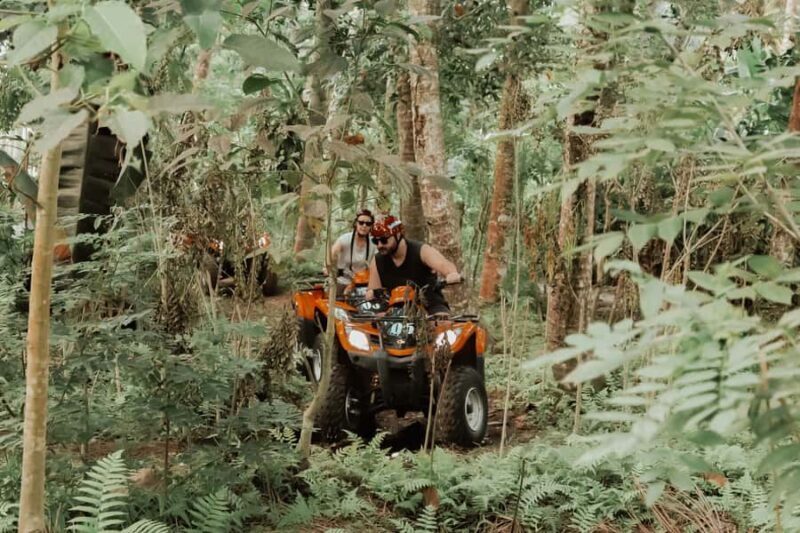 Bali: Ubud Atv Quad Bike With Lunch - An In-Depth Look at the Ubud ATV Quad Bike Tour