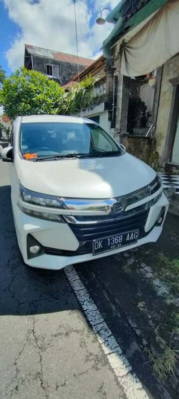 Bali: ubud costumize tour with private driver - Exploring Bali at Your Own Pace