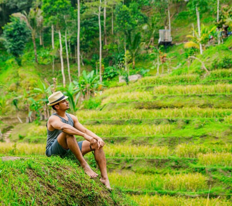 Bali: Ubud Culture Purification, Jungle Swing Tour - Tegalalang Rice Terrace: Bali’s Iconic Landscape