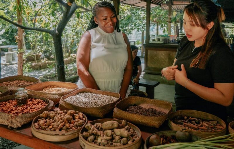 Bali: Ubud Culture Purification, Jungle Swing Tour - Tegenungan Waterfall: A Refreshing Sight