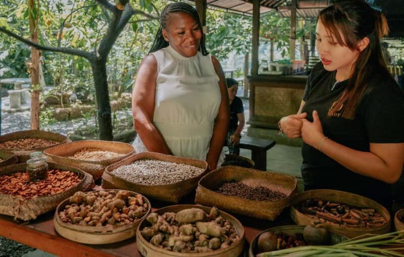 Bali: Ubud Culture Purification, Jungle Swing Tour - Ending the Day and Returning to Your Hotel