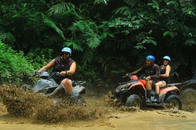 Bali: Ubud Customize Tour with Lunch & Coffee Tasting - In Summary