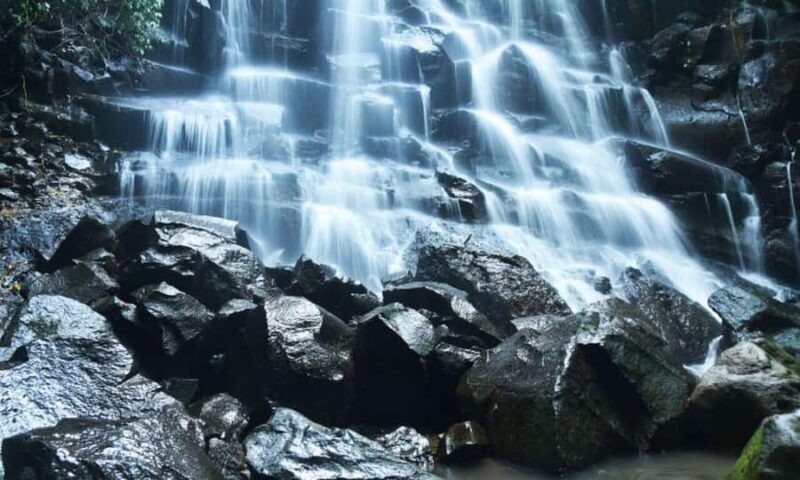 Bali: Ubud Customize Tour with Lunch & Coffee Tasting - Final Thoughts