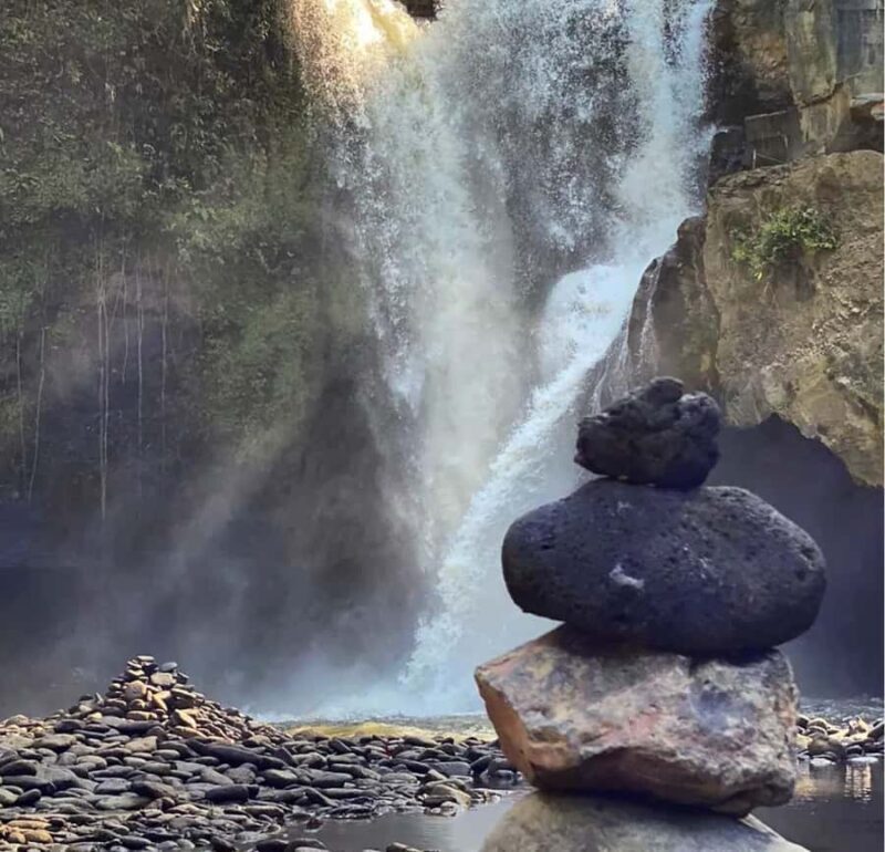 Bali; Ubud day tour all inclusive - Key Points