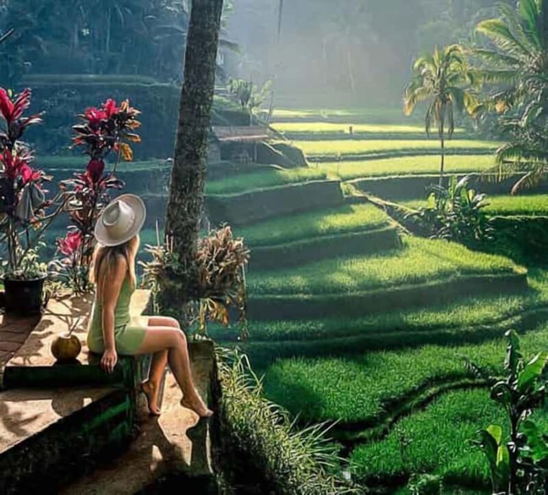 Bali: Ubud Day Tour with Swing and Zipline - A Closer Look at the Ubud Day Tour