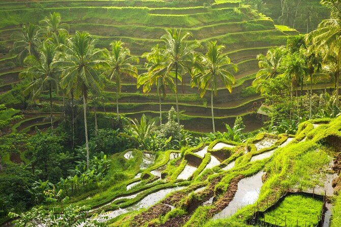 Bali Ubud Excursion from Benoa Port All Inclusive Private Tour - FAQs