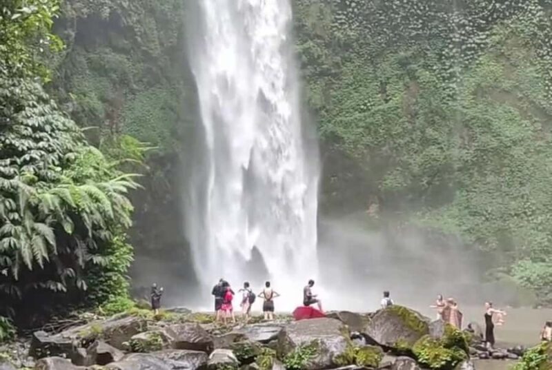 Bali: Ubud Full-Day Cultural and Nature Tour - Key Points