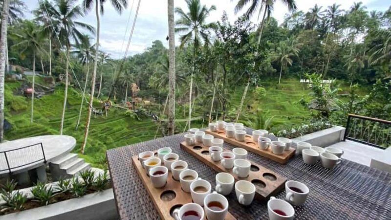 Bali: Ubud Full-Day Tour with Entry Tickets & Guide - An In-Depth Look at the Tour