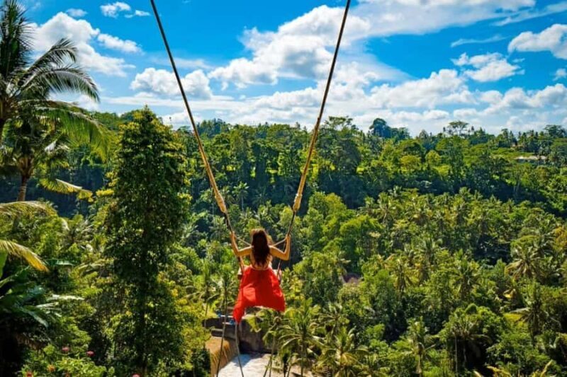 Bali: Ubud Full-Day Tour with Entry Tickets & Guide - The Sum Up