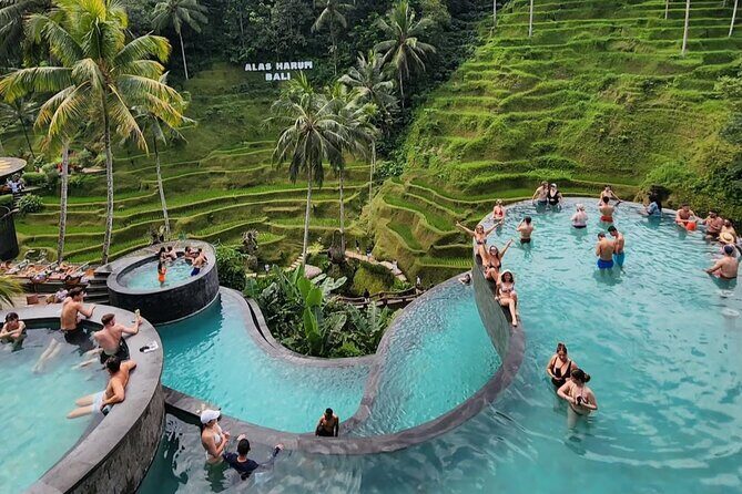 Bali: Ubud Gorilla ATV Adventure & Cretya Infinity Pool Tour - Key Points