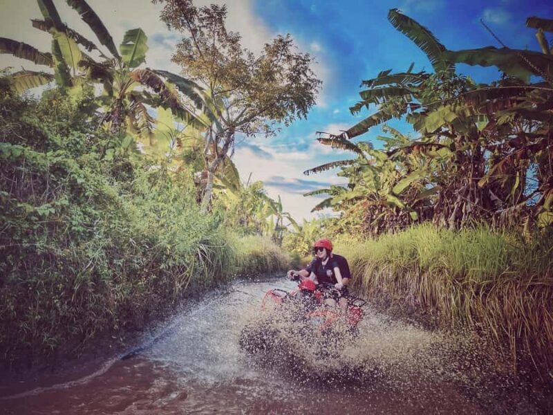 Bali: Ubud Gorilla Cave Track ATV & Waterfall Tour with Meal - Key Points