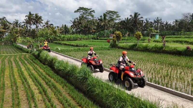 Bali: Ubud Gorilla Face ATV and Ayung Rafting Trip with Meal - Who Should Consider This Experience?