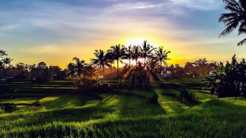 Bali: Ubud Highlight Tour With Flexible Itinerary Options - The Sum Up: Is It Worth It?