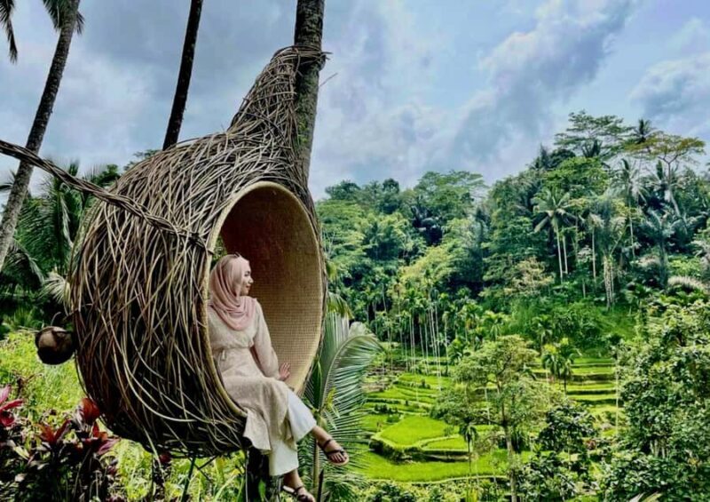 Bali/Ubud: Kanto Lampo Waterfall, Monkey Forest & Swing Tour - Key Points