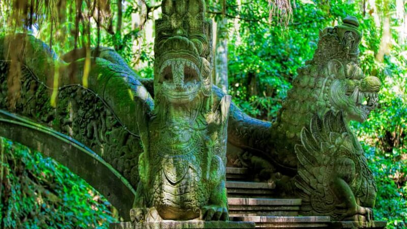 Bali: Ubud Monkey Forest Private Tour, Luxury Car - Key Points
