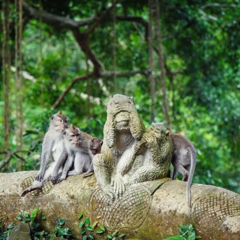 Bali ubud : monkey forest, waterfall , temple - Exploring Bali Ubud: Monkey Forest, Waterfalls, and Temples — A Complete Review