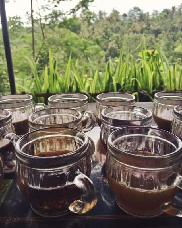 Bali ubud : monkey forest, waterfall , temple - Key Points