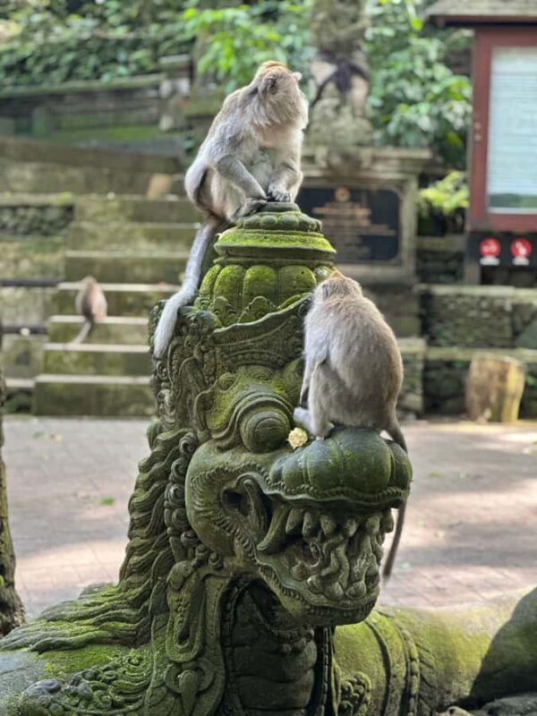 Bali ubud : monkey forest, waterfall , temple - Practicalities and Tips