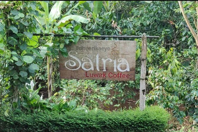 Bali Ubud private Tour with Ubud Bali Driver - FREE WIFI - Frequently Asked Questions