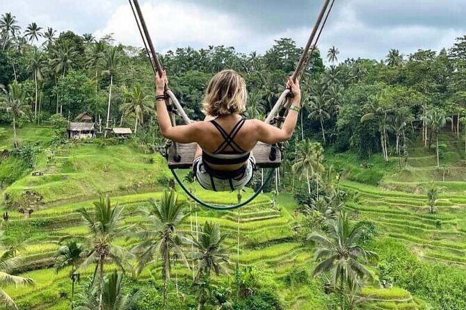 Bali: Ubud Rice terrace, water temple, and waterfall Tour - Authentic Experiences and Traveler Feedback