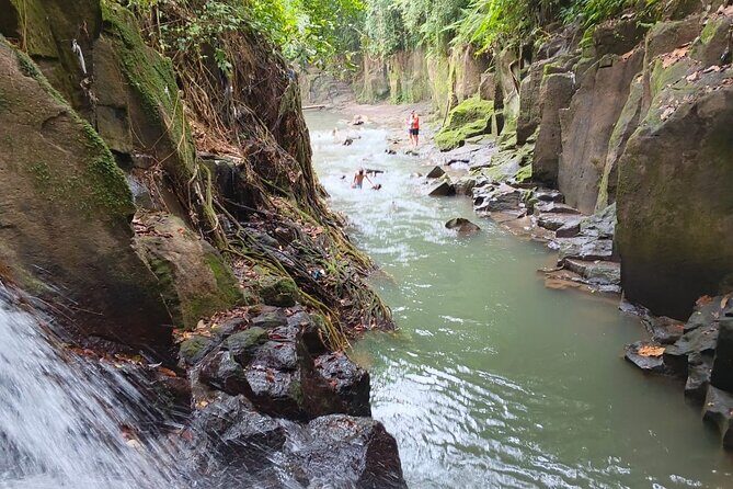 Bali: Ubud Rice terrace, water temple, and waterfall Tour - The Sum Up