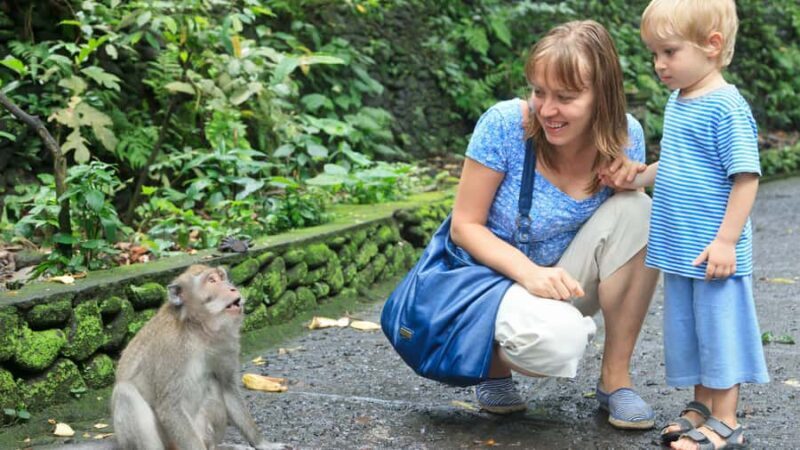 Bali: Ubud Rice Terraces, Monkey Forest & Waterfall Tour - Key Points